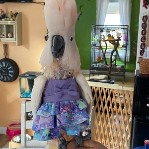 Red Feather Protector for Plucking Parrots/birds Bespoke Babesinthehood ...