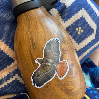 Vinyl Bird Stickers 7 Designs to Choose From Hawk Falcon Owl Raven ...