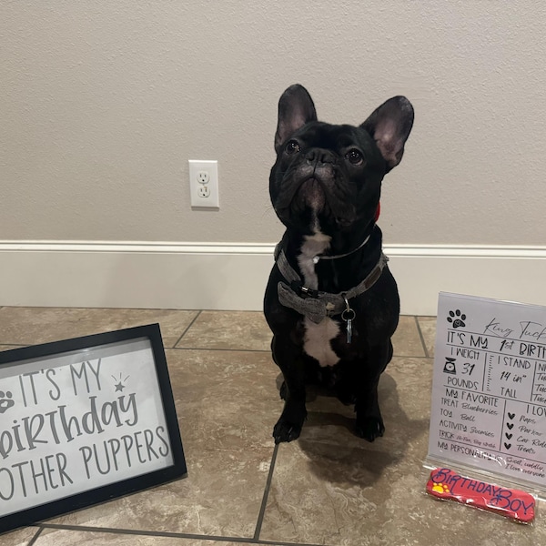 The Best Uncles Have Beards Svg, Bearded Uncle Onesie Svg, Dxf Png Cut ...