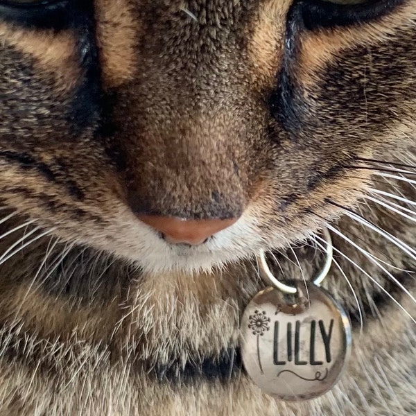 Cat Name Tag, Cat Tag, Cat Collar, Name Tag, Kitten Collar ...