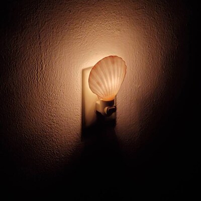 Scallop Sea SHELL Nautical Beach Decor NIGHTLIGHT S7-348 - Etsy