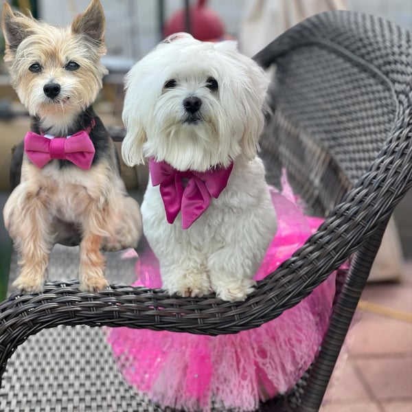 Luxe Blue Sapphire Velvet Key Fob Wristlet | Winter | Rose Gold, Gold ...