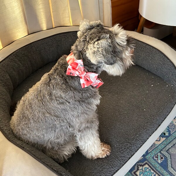 Pink Dog Leash, Herringbone Dog Leash, Girl Dog Leash, 6 Ft Pet Leash ...