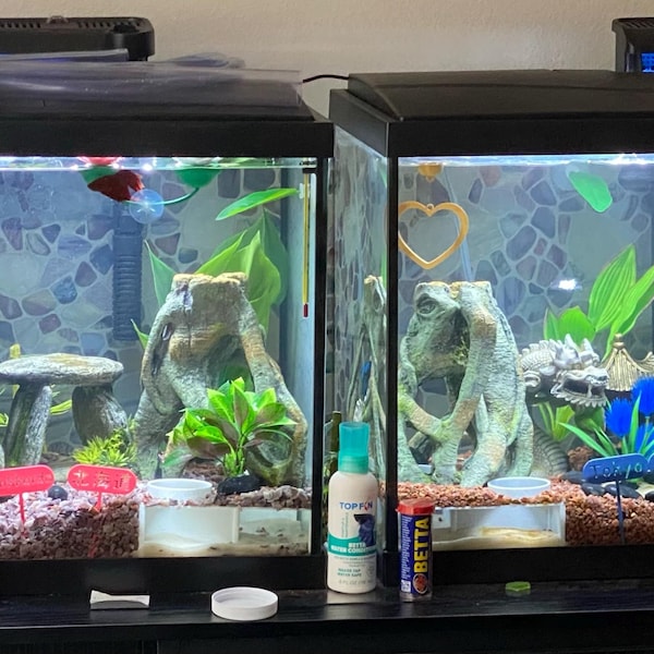 Mushroom Cave Aquarium Ornament, Customizable Fish & Shrimp Tank Decor ...