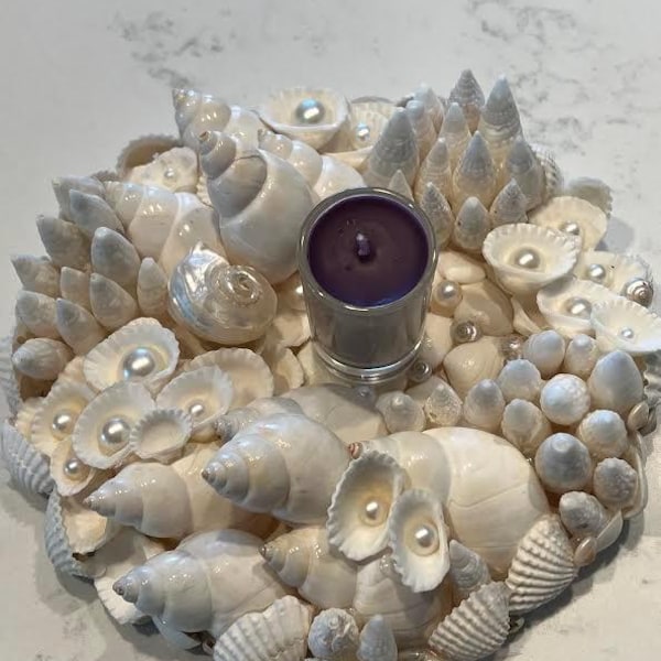 Sea Shell Wall Panels- Full Wall Mosaics All Natural Seashells Urchins ...