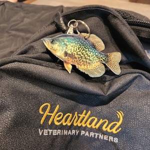 Crappie Stringer Mount Layered Flat 2D Metal of 14 Inch Crappies ...