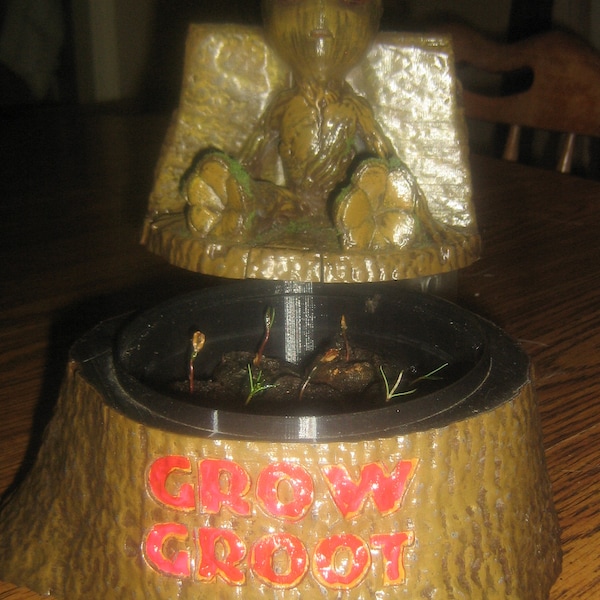 giant-sequoia-redwood-tree-seeds-redwood-tree-seeds-giant-sequoia