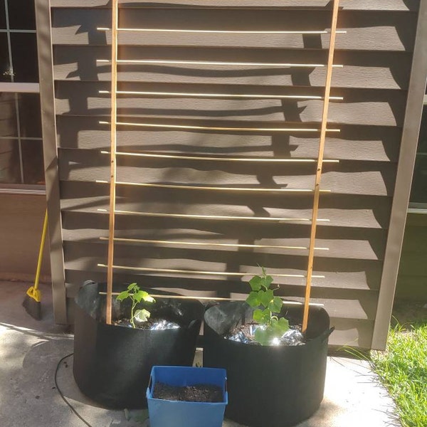 Hardwood Trellis - A Frame, 4ft and 6ft Plant Playground, Fun for ...