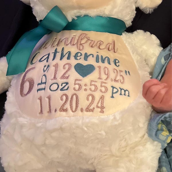 Personalized Birth Stats Stuffed Animal, New Baby Gift, Personalized ...