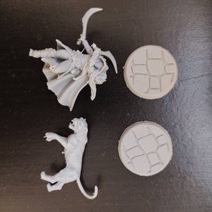 Elf Ranger and Panther Dnd Inspired Fantasy Dnd Tabletop RPG Mini Great ...