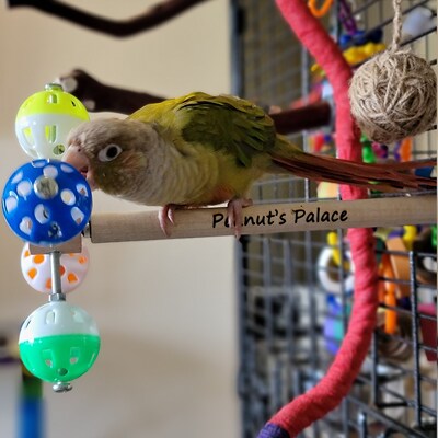 Perch Toy With Rotating Balls for Budgies Budgerigars - Etsy