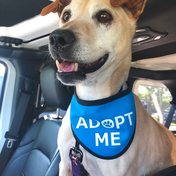 5-pack ADOPT ME Bandana Scarf for Rescue Dogs - Etsy