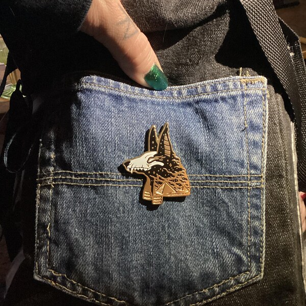 Hawk Skull Enamel Pin astra, Hawk Pin, Falcon Enamel Pin, Spooky Enamel ...