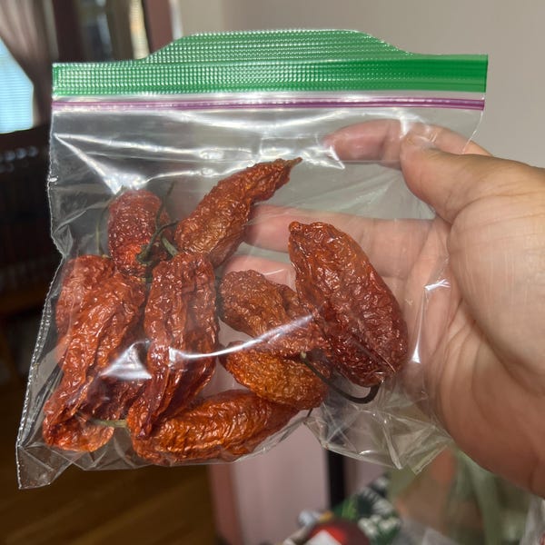 Ghost Pepper Dried Pods 25 Pods - Etsy
