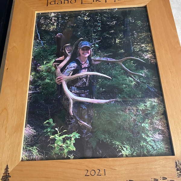 Elk Hunting Frame, Hunting, Elk, Bow Hunting, Bugling Elk, Hunting Trip ...