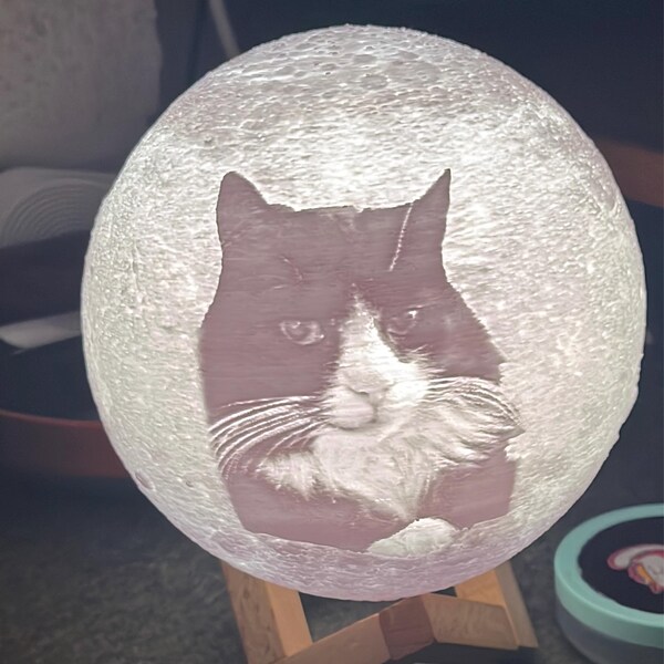 Custom Photo Led Lamp, Wedding Gift Photo LED Light, Photo Night Light ...