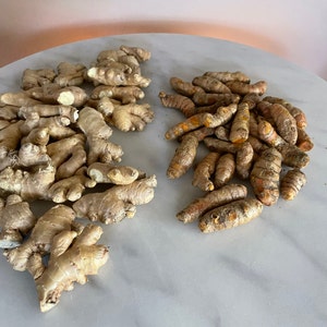 Fresh Wild Turmeric From Fiji 1/2 LB - Etsy
