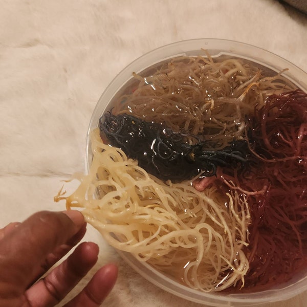 Wildcrafted Sea Moss From St.lucia - Organic Sea Moss - Natural Seamoss ...