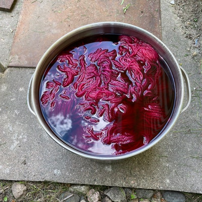 Cochineal Extract Powder Natural Dyes 1 Ounce Package - Etsy