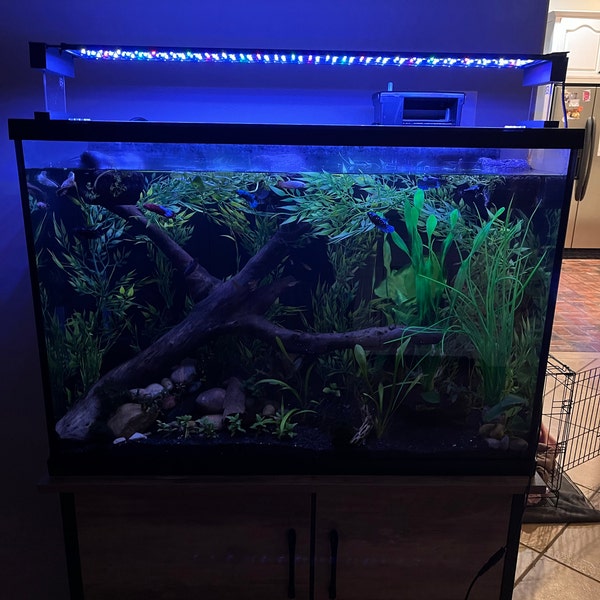 Hygger Advanced Light Riser, Attractive Stable Elevated Stand, Quality ...