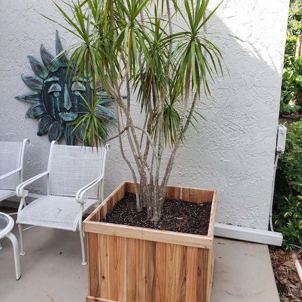 Square Cedar Planter Box: Large Tree Flower Patio Indoor/outdoor Garden ...