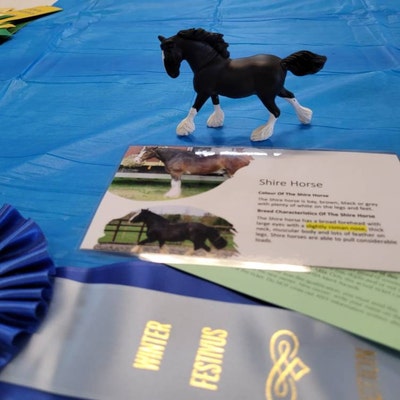 Custom Stablemate Pinto LSP - Etsy