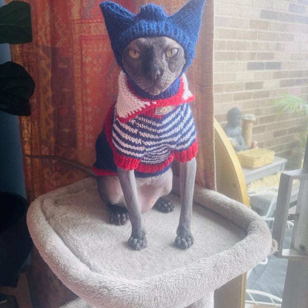 Sphynx Katzen Pullover und Mütze im Set Handgestrickter Katzen Overall ...