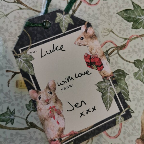 Butterfly Wings Enamel Pin Badge Set | Entomology Taxidermy Art - Etsy