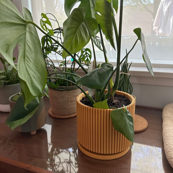 Lightweight 3D Printed Planter With Drainage and Saucer, Unique Pots ...