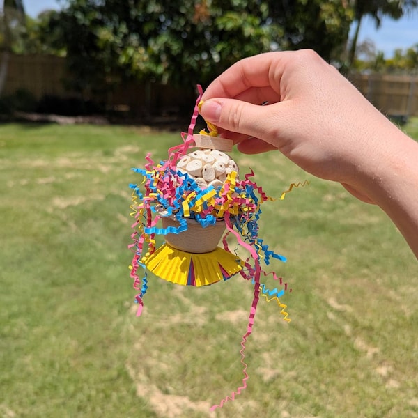 Sola Ball Fun - Hand Made Toys for Small to Medium Pet Birds Using Safe ...