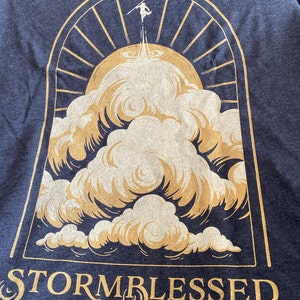 Stormlight Archive Shirt, Kaladin Stormblessed Shirt, Brandon Sanderson ...