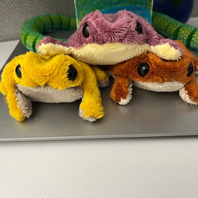 Made to Order Frog Beanie Plush Collectable by Froogandboog - Etsy