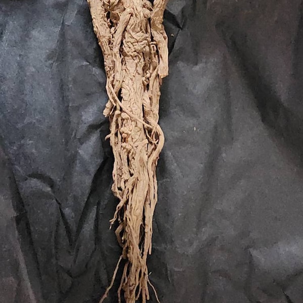 Master Root - A Hoodoo Root That is the Master of Them All (this is NOT ...