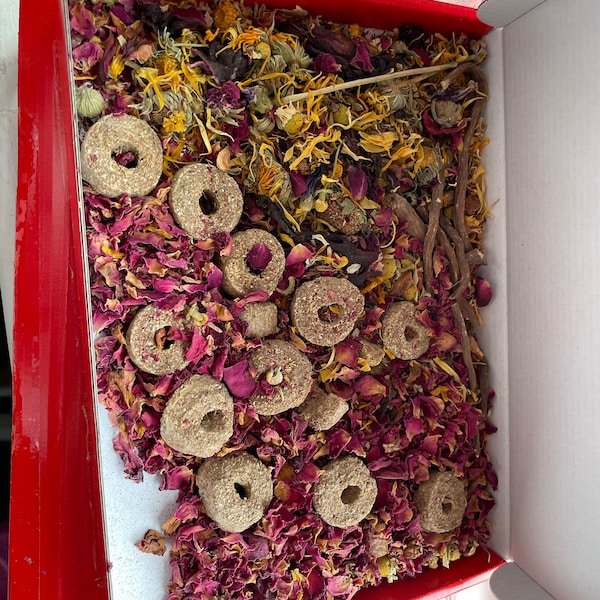 Forage Box | Rabbits, Guinea Pigs, Hamsters, Rats - Etsy UK