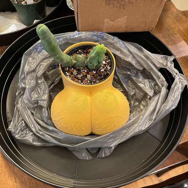 Cock Pot, Male Body Planter, 3D Printed Planter, Planters With Drainage ...