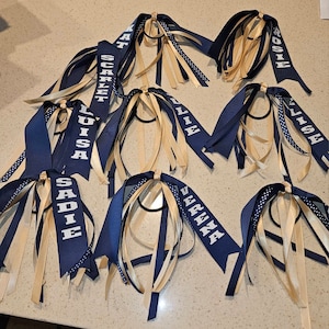 School Fundraising Idea, School Fundraiser, School Spirit Wear, School ...