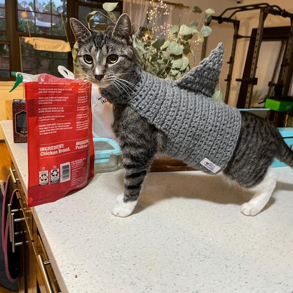 Crochet Cat Shark Sweater Costume - Etsy
