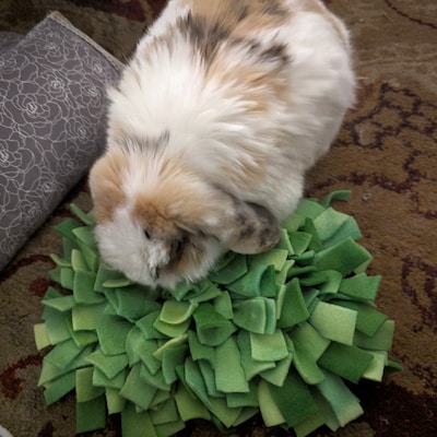 Bunny Rabbit Snuffle Mat, Foraging Blanket, Stimulation Treat Toy ...