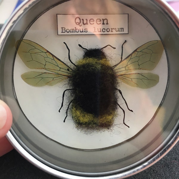 Needle Felt Bumblebee Collection Kit - Etsy