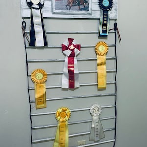 Personalized Show Ribbon Display - Etsy