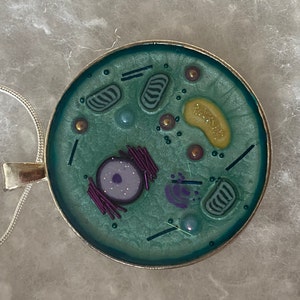 Animal Cell Pendant Necklace Silver Art Necklace, Biology Jewellery ...