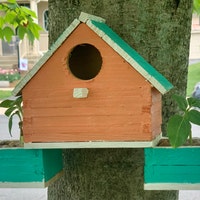 A-frame Bird House Kit - Etsy Canada