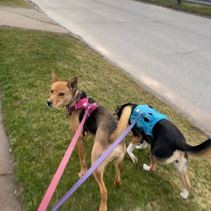 Biothane Tab or Bringsel Pick Your Color 1/2 Wide Heavy | Etsy