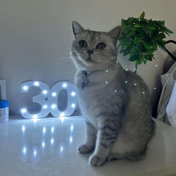 LED Light up Number 30: 30th Birthday Party Decor - Etsy UK
