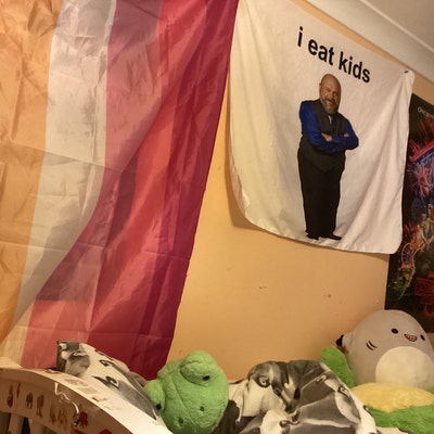 Shrek Tapestry Eboy Shrek and Egirl Fiona Funny Tapestrys Meme ...