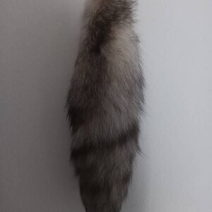 Marten Pelt Marten Skin Marten Hide Marten Fur Real Fur - Etsy