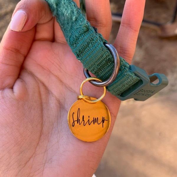 Microchip Dog Tag, Custom Dog Tag, Microchipped, Pet Tag, Dog ID Tag ...