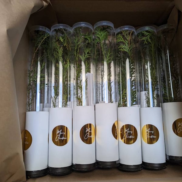 Baby Shower Tree Favor | Favors for Baby Shower | Gift Trees | Baby ...