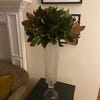Live Southern Magnolia Branches - Premium EXTRA Long 18-22" Stems, Cut ...