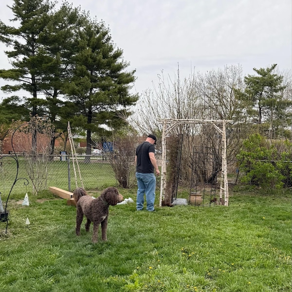Four Decorative Silver Aspen Poles 4ft - Etsy